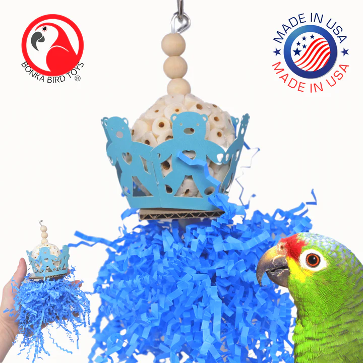 SOLA TEDDY | Golden Cockatoo