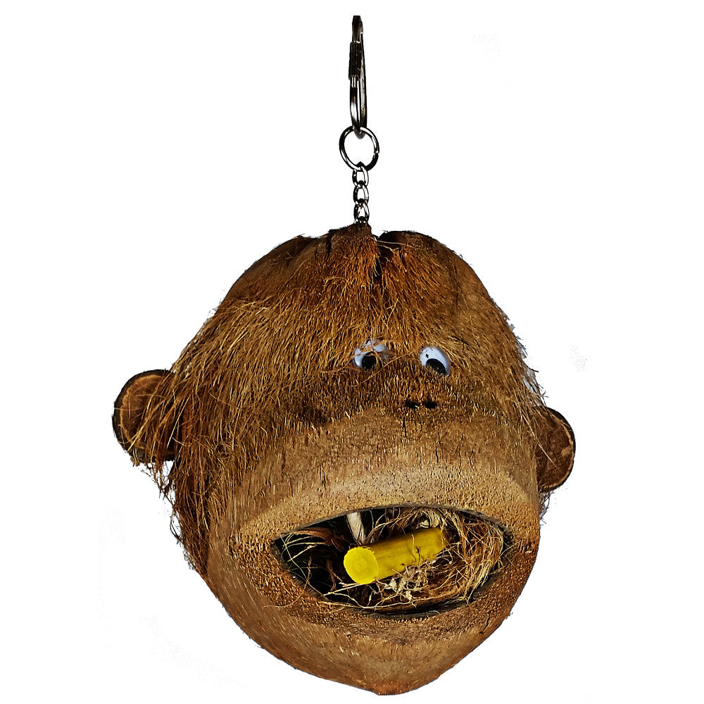 A&E CAGES | Coco Monkey Coconut Shell Bird Toy | Golden Cockatoo