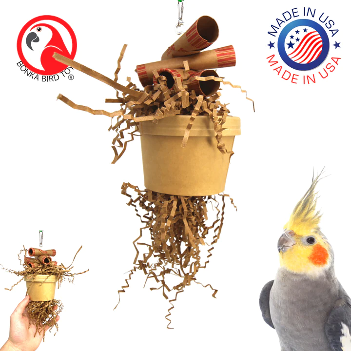 MONEY POT | Golden Cockatoo